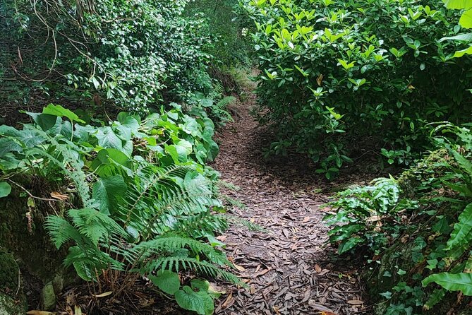 Blarney Castle Cork City and Jameson Distillery Semi Private Tour - Important Tour Information