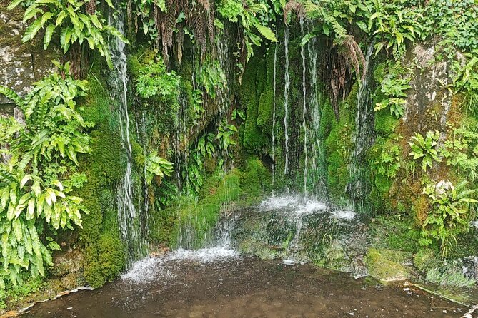 Blarney Castle Cork City and Jameson Distillery Semi Private Tour - Since You Asked