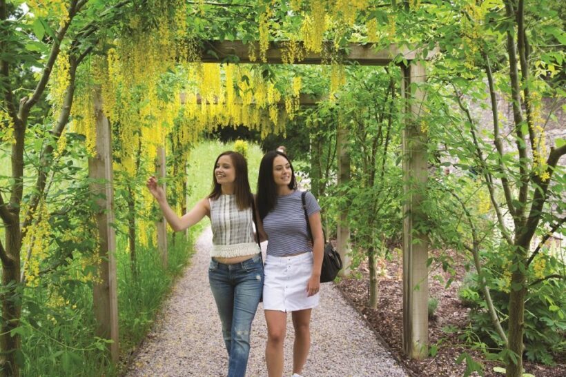 Blarney Castle Full-Day Tour from Dublin - A Handy Look at the Blarney Castle Full-Day Tour from Dublin