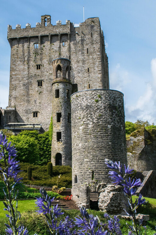 Blarney Castle: Private Guided Day Tour from Dublin - An In-Depth Look at the Tour Experience
