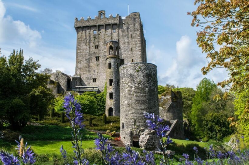 Blarney Castle: Private Guided Day Tour from Dublin - Practical Details and Tips