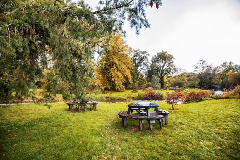Blarney Castle & Rock of Cashel Private Car Trip from Dublin - The Value and Considerations