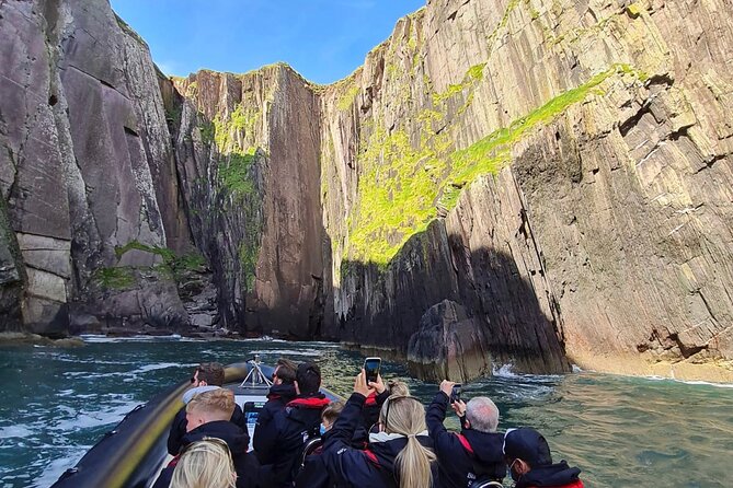 Blasket Island Sea Life Rib Tour, - Wildlife Sightings