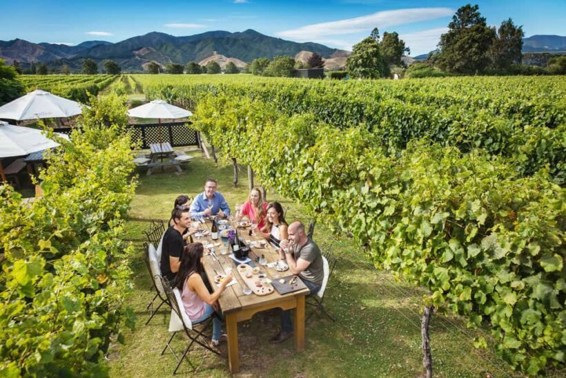 Blenheim/Renwick: Marlborough Half-Day Wine Tour with Lunch - A Closer Look at the Marlborough Half-Day Wine Tour