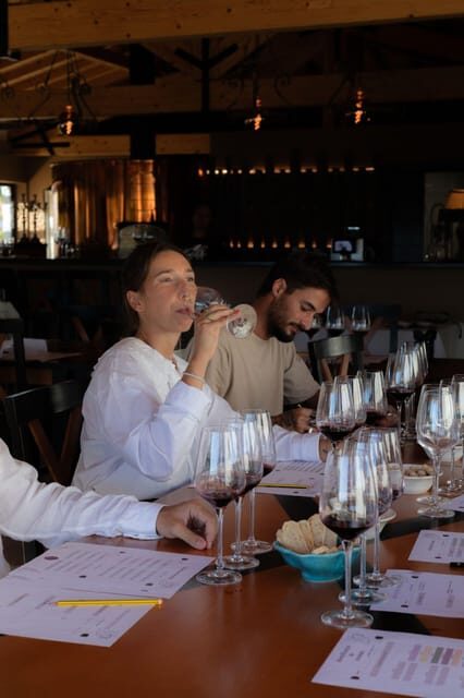 Blind Wine Tasting - An Authentic Taste of Portugal’s Wine Culture