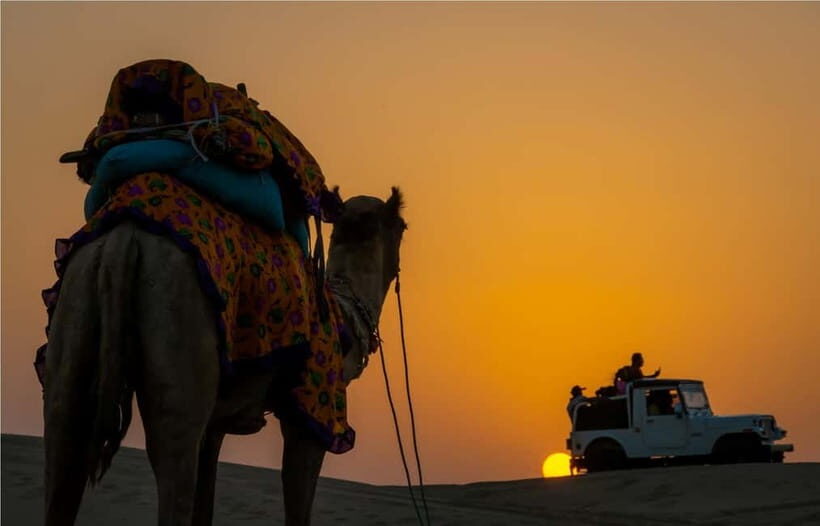 Blissful Half Day Sunset Camel Safari with Musical Evening - Who Will Love This Tour?