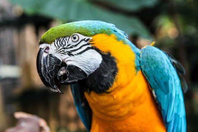 Bloedel Conservatory Admission Ticket - The Itinerary and What to Expect
