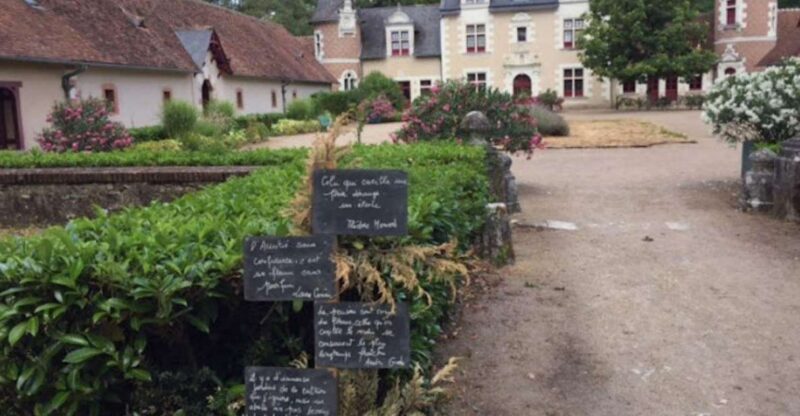 Blois: Exclusive Wine Tasting in Cheverny and Cour Cheverny - Who Should Consider This Tour?