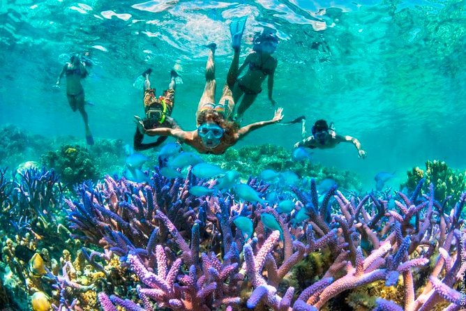 Bloo Lagoon Snorkeling East Bali Includes Transportation & Lunch - Transportation and Group Size