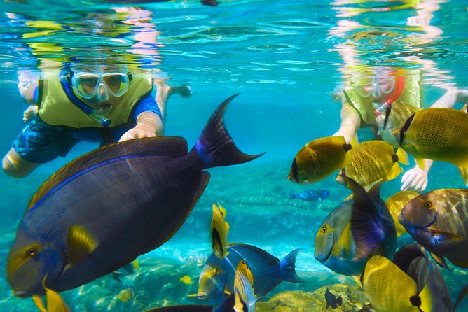 Bloo Lagoon Snorkeling East Bali Includes Transportation & Lunch - What Travelers Say
