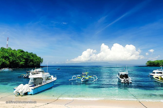 Bloo Lagoon Snorkeling East Bali Includes Transportation & Lunch - Who Should Consider This Tour?