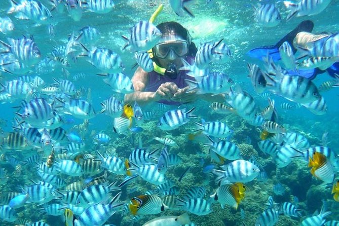 Bloo Lagoon Snorkeling East Bali Includes Transportation & Lunch - FAQ