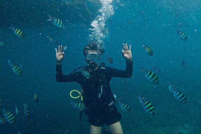 Blou lagoon snorkeling all incllusive - A Closer Look at the Experience