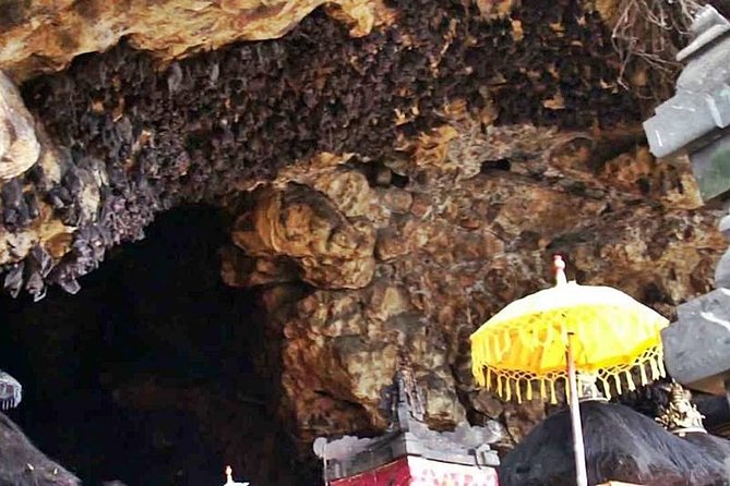 Blow Lagoon Bali Snorkeling and see Bali Bats Cave Temple - The Lunch and Relaxation