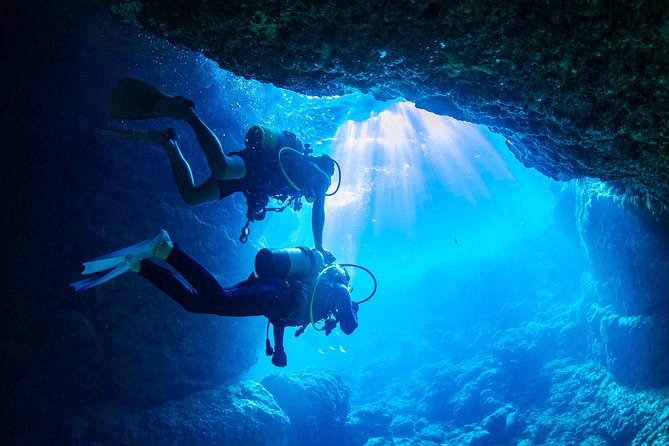 Blue Cave Experience Diving [Charter System / Boat Holding] | I Am Very Satisfied With the Beautiful Facilities of the Shop - Customer Experiences and Feedback