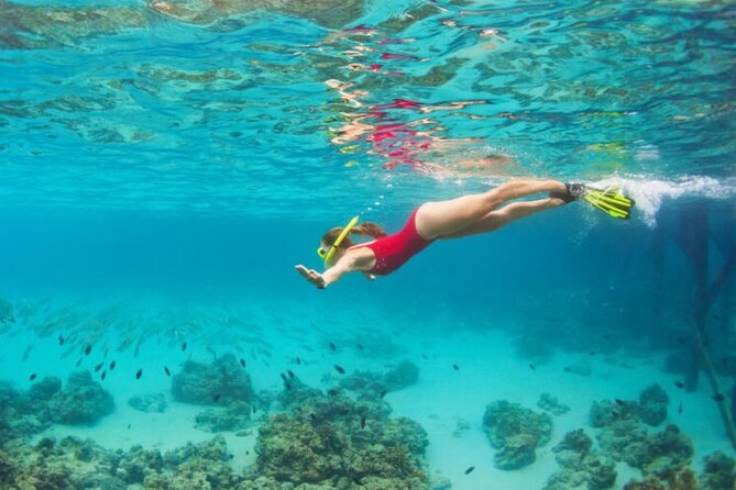 Blue Cave Full-Day Boat Tour With Hvar and 5 Islands - Monk Seal Cave Exploration