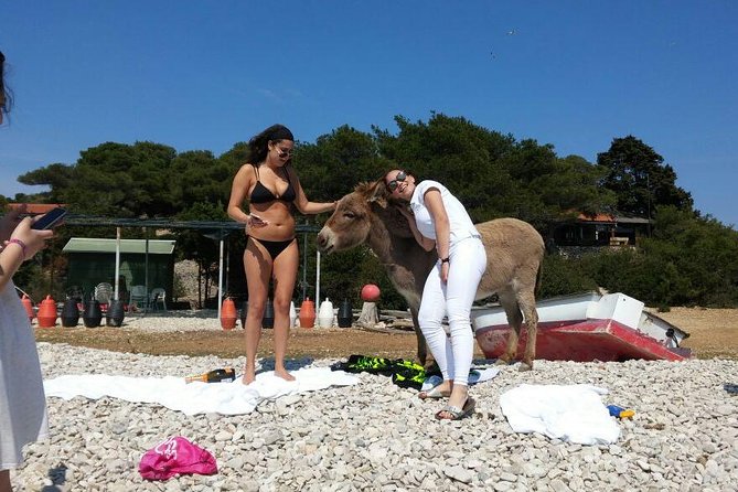 Blue Cave, Hvar and Five Islands - Small-Group Tour From Split - Since You Asked