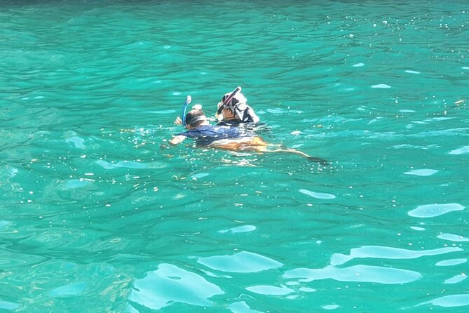 Blue Cave, Lady of Rocks , Perast and Mamula Speedboattour MW - Key Points