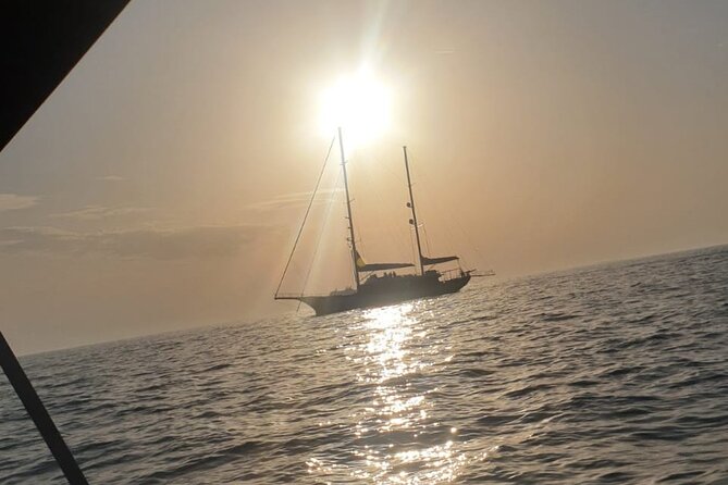 Blue Cave, Lady of Rocks , Perast and Mamula Speedboattour MW - Traveler Requirements and Accessibility