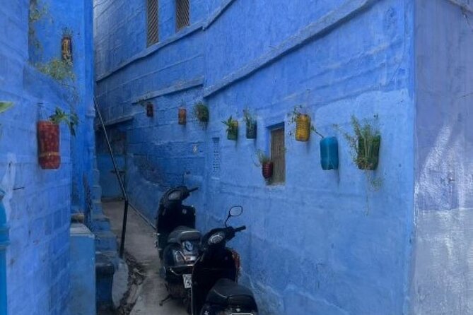 Blue city heritage walk - The Experience and What Travelers Say