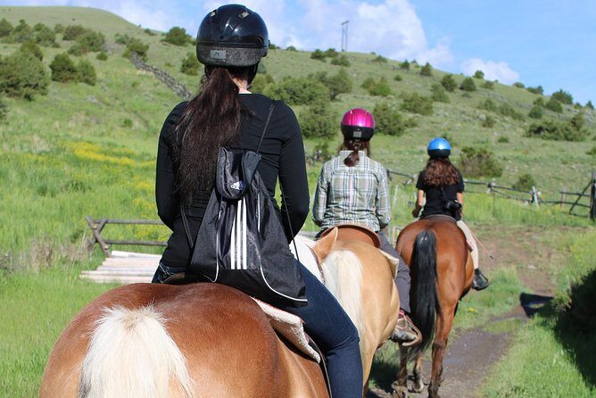 Blue Flower Trail Ride - The Sum Up: Why You’ll Love the Blue Flower Trail Ride