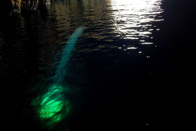 Blue & Green Cave Vis Island and Pakleni Islands Private Day Trip From Hvar - Traveler Information and Recommendations