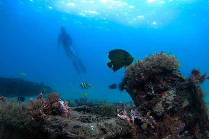 Blue Heron Bridge Guided Snorkel Tour - An In-Depth Look at the Snorkeling Experience