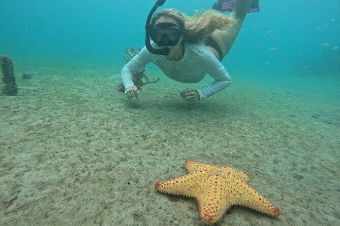 Blue Heron Bridge Guided Snorkel Tour - The Sum Up: Is This Tour Worth It?