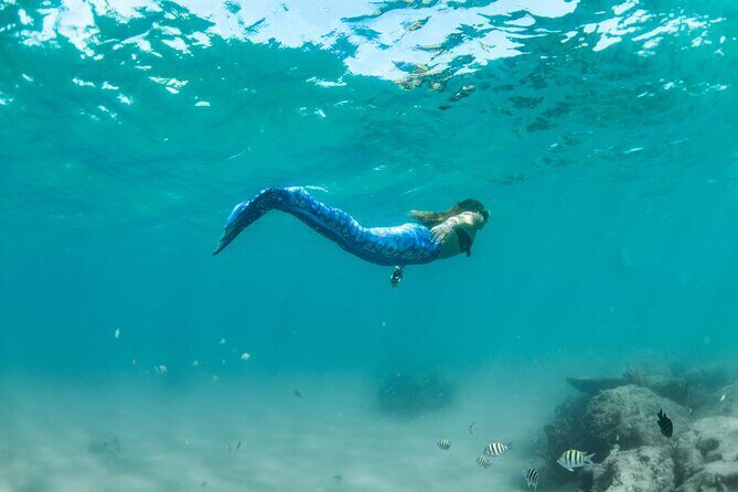 Blue Heron Bridge Mermaid Experience - Final Thoughts: Who Should Book This?