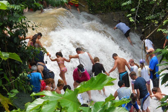 Blue Hole and Dunn's River Falls from Montego Bay - Who is This Tour Best For?
