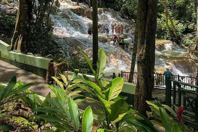 Blue Hole and dunns river falls tour from Montego bay - Who Is This Tour Best For?