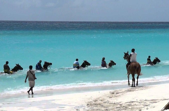 Blue Hole and Horseback Riding and Shopping - Who Will Love This Tour?