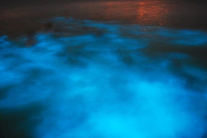 Blue Hole and Secret Falls with Luminous Lagoon(Glistening Waters) Private Tour - Authentic Encounters & Tips