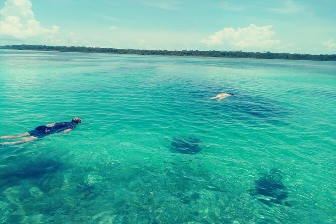 Blue hole, drift snorkeling, turtles Celebration Key is welcome - A Complete Review of the Tour: What You Can Expect
