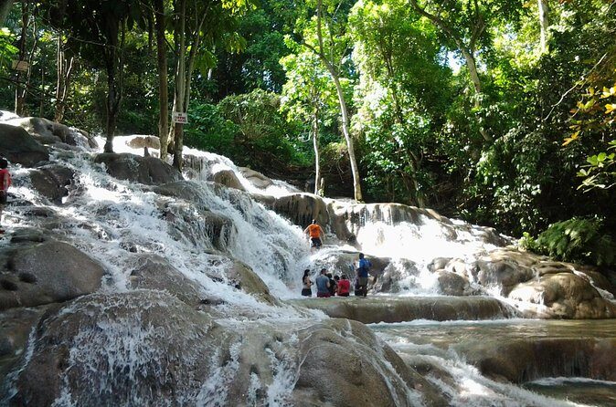 Blue Hole, Dunn's River Falls Luminous Lagoon Excursion From Montego Bay - The Sum Up