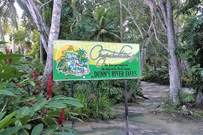 Blue Hole plus Secret Falls and Dunns River Falls Combo from Runaway Bay Hotels - An Overview of the Experience