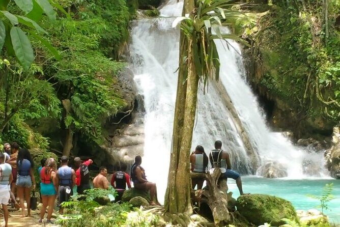 Blue Hole/Secert falls and Dunns River Combo Tour - Who Will Love This Tour?