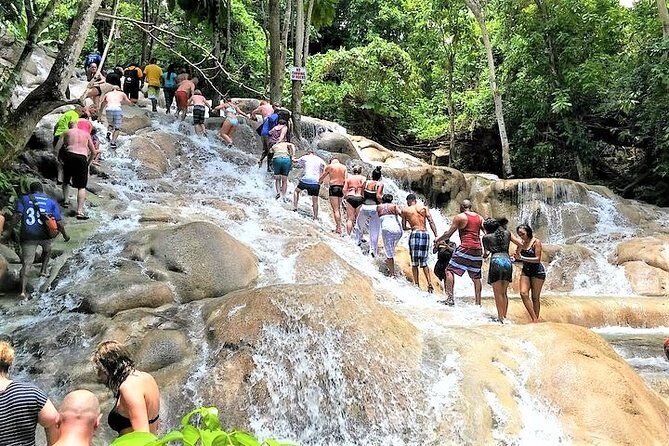 Blue Hole, Secret Falls, and Dunn's River Falls Combo Day-Trip - The Itinerary in Detail
