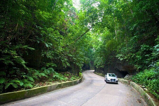 Blue Hole Secret Falls & O/Rios Highlight View Scenic Fern Gully - The Sum Up