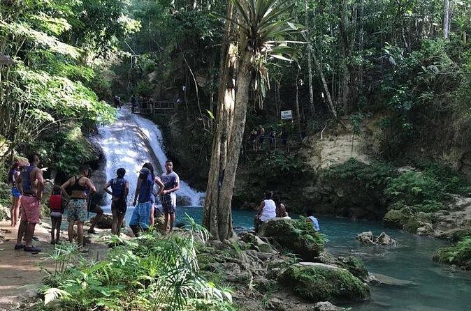 Blue Hole Tours from Montego Bay - Transportation and Pricing: What’s the Value?