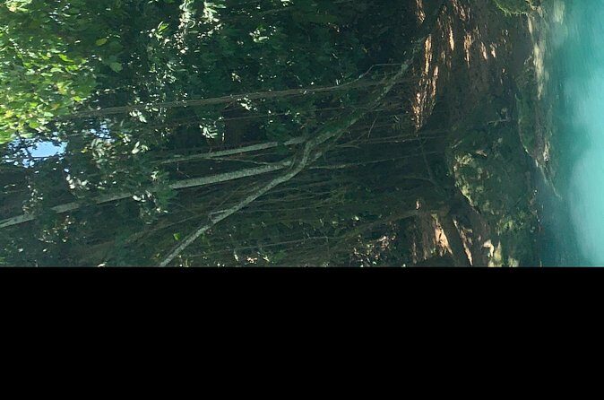 Blue hole waterfalls tour from Ocho Rios - Practical Details and What to Keep in Mind