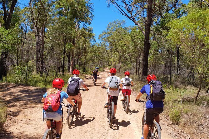 Blue Labyrinth PRIVATE Tour: Sydney Blue Mountains by E-Bike - An In-Depth Look at the Blue Labyrinth E-Bike Tour