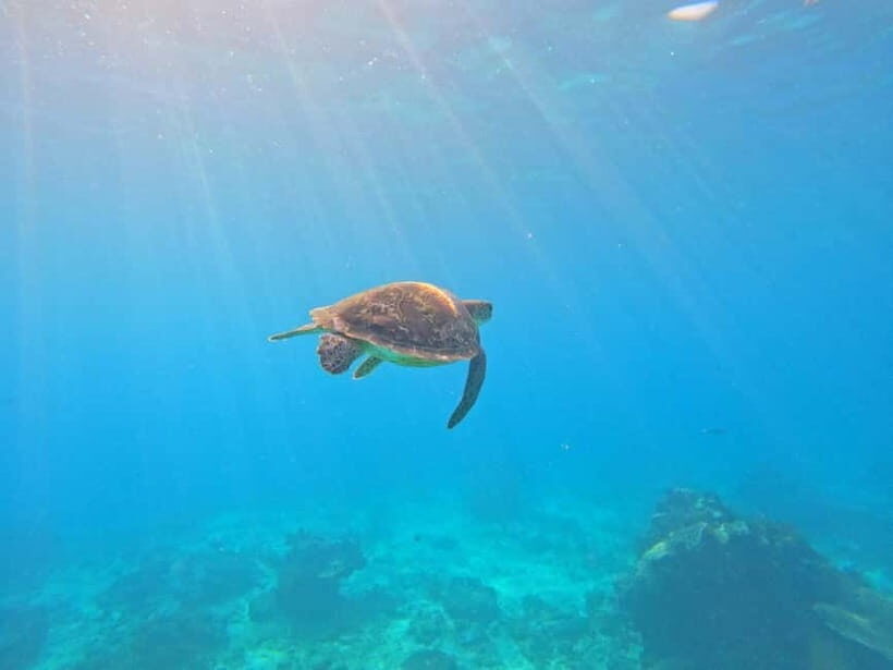 Blue Lagon Snorkeling, Waterfall, and Celuk Village Tour - The Sum Up