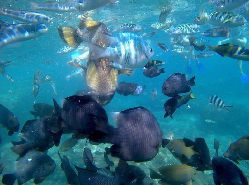 Blue Lagon Snorkeling, Waterfall, and Celuk Village Tour - Exploring the Blue Lagon Snorkeling, Waterfall, and Celuk Village Tour