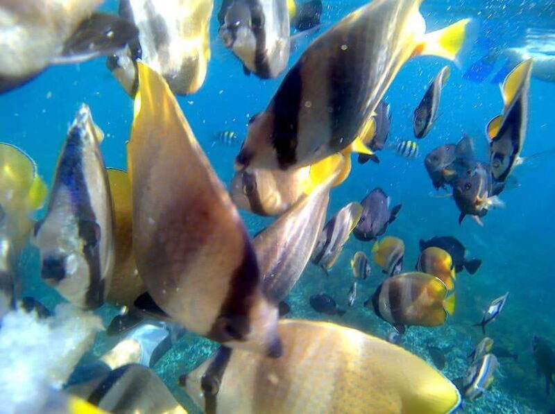 Blue Lagon Snorkeling, Waterfall, and Celuk Village Tour - FAQs