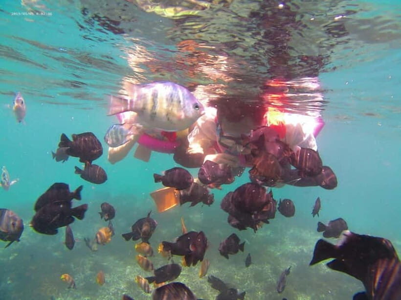 Blue Lagoon and Tanjung Jepun Snorkeling Tour - Key Points