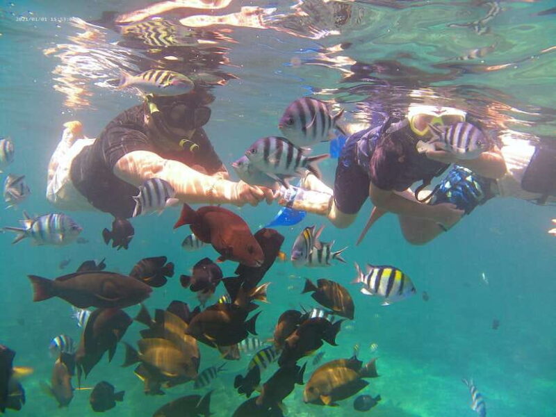 Blue Lagoon and Tanjung Jepun Snorkeling Tour - Final Thoughts: Why Choose This Tour?