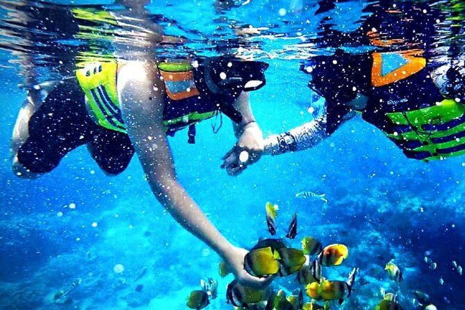 Blue Lagoon Paradise Snorkeling Tour - Key Points