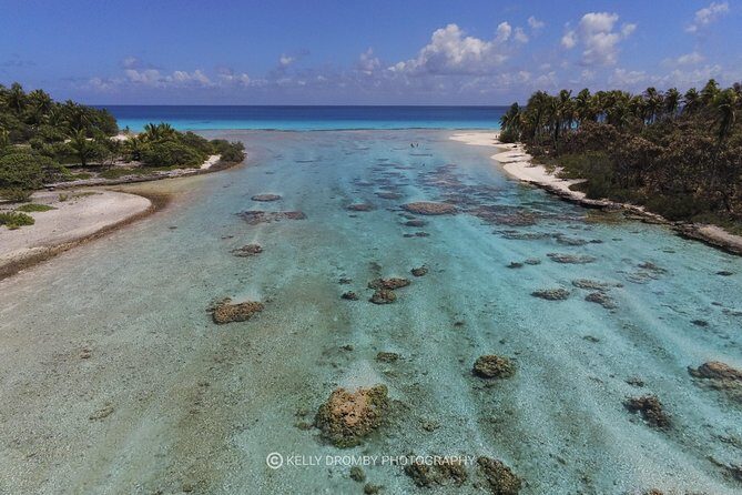 Blue Lagoon - PRIVATE ISLAND Pink sand beach and wildlife reserve - What the Reviews Say