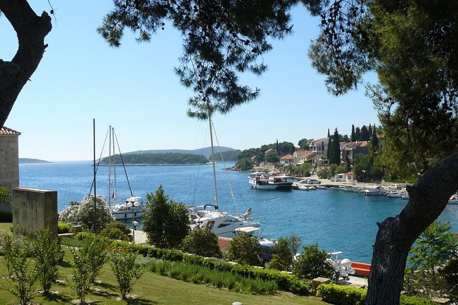 Blue Lagoon Private Tour From Trogir - LUNCH in the RESTAURANT INCLUDED - Traveler Feedback and Ratings